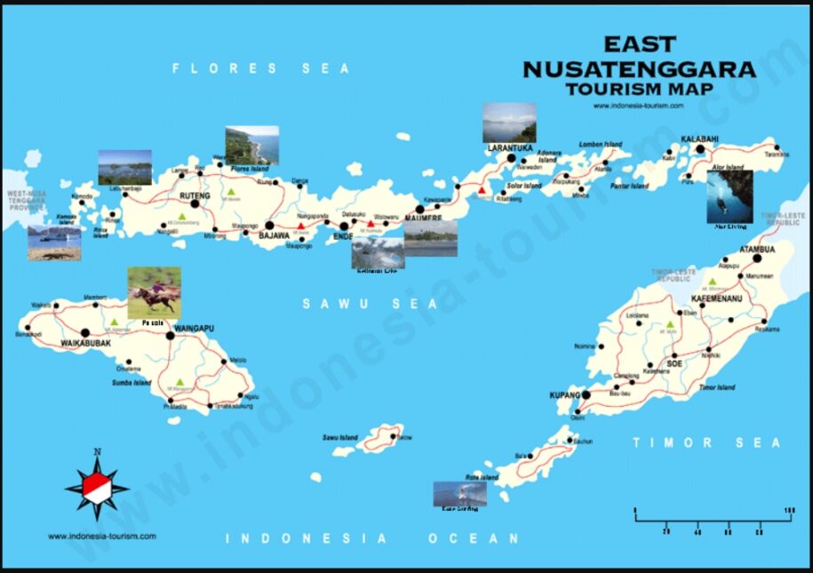 Labuan Bajo (Komodo Island) - DWI Tour