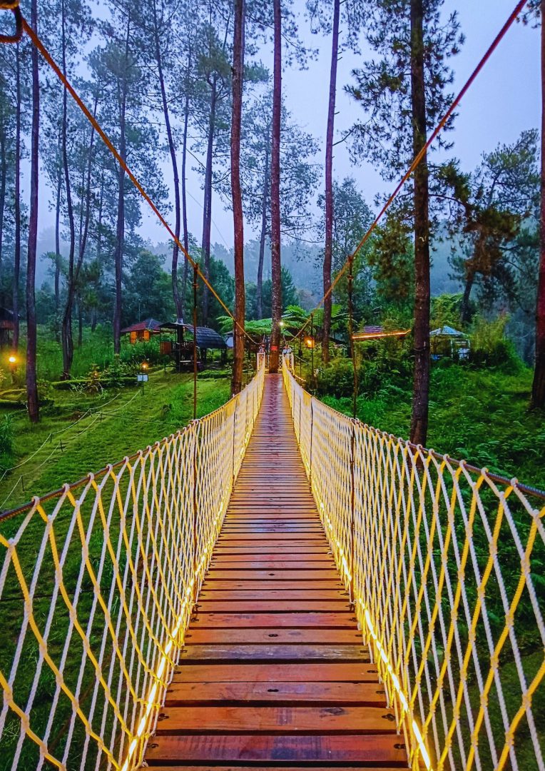 Orchid Forest Cikole: A Nature Escape in Lembang, Bandung - DWI Tour